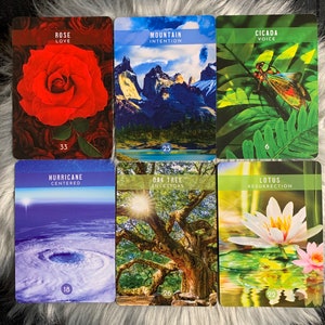 Messages From the Spirits of Nature Oracle Card Deck and Guidebook by ...
