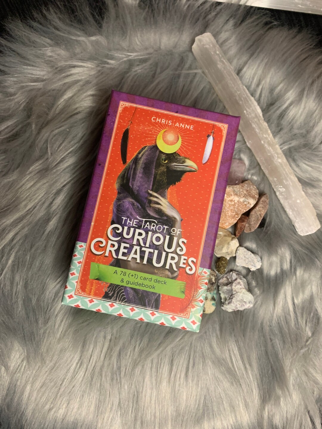 The Tarot of Curious Creatures Tarot Card Deck and Physical Guidebook ...