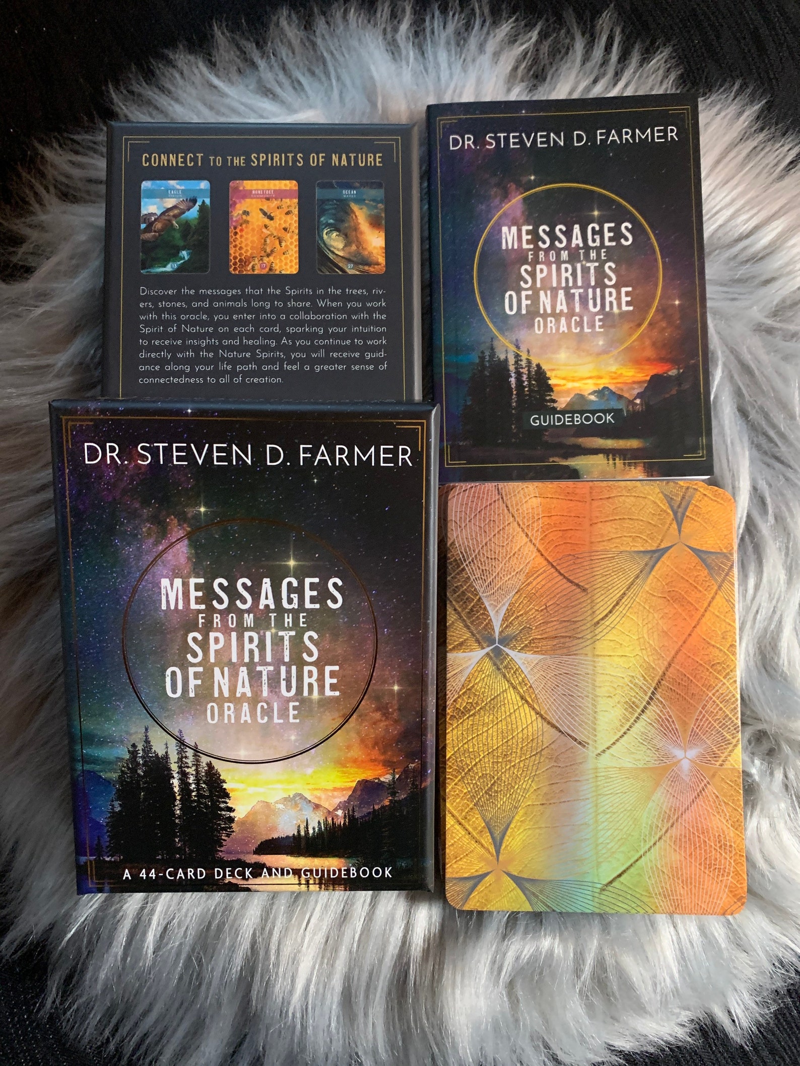 Messages From the Spirits of Nature Oracle Card Deck and Guidebook by ...