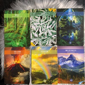 Messages From the Spirits of Nature Oracle Card Deck and Guidebook by ...