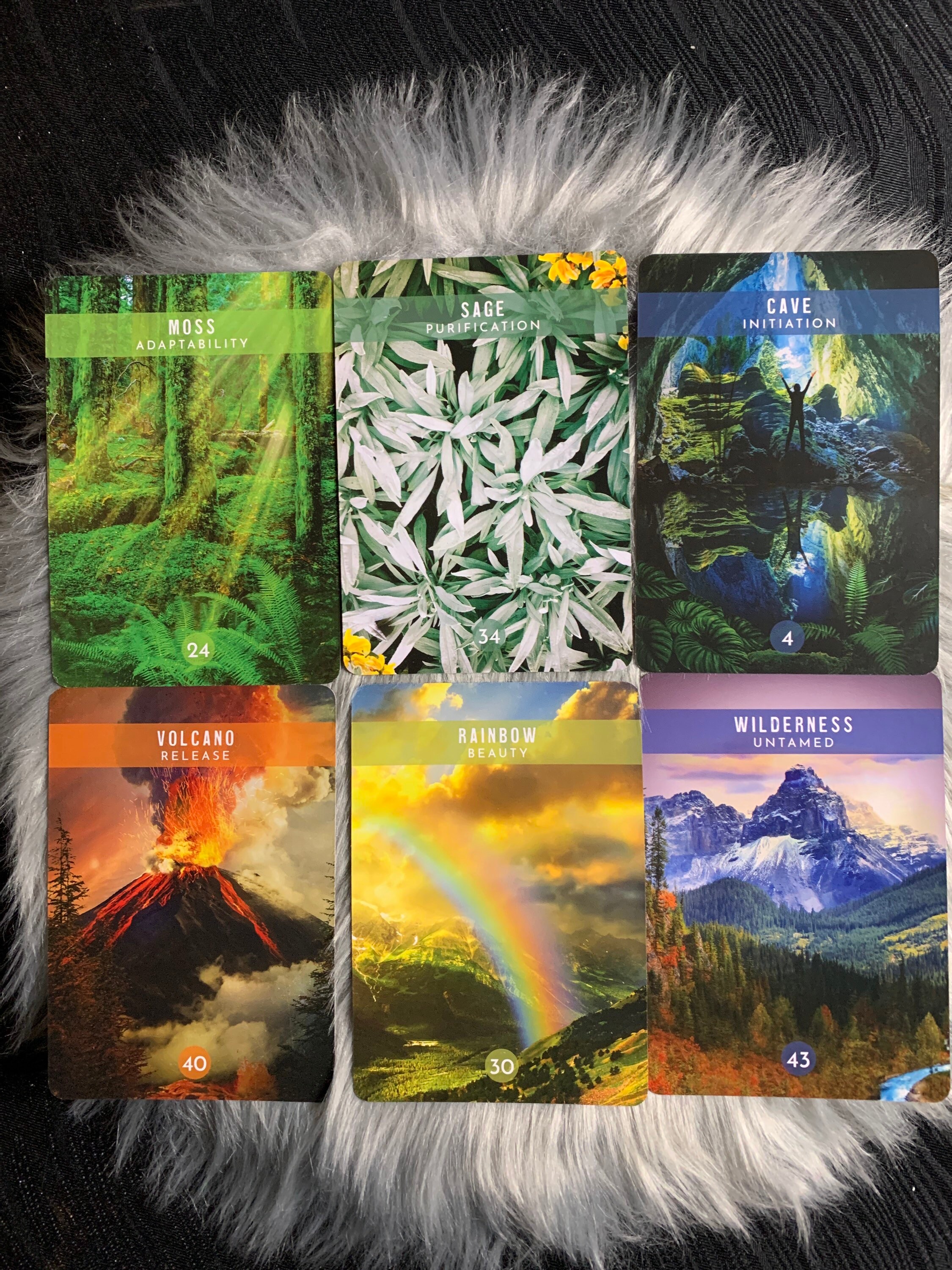 Messages From the Spirits of Nature Oracle Card Deck and Guidebook by ...