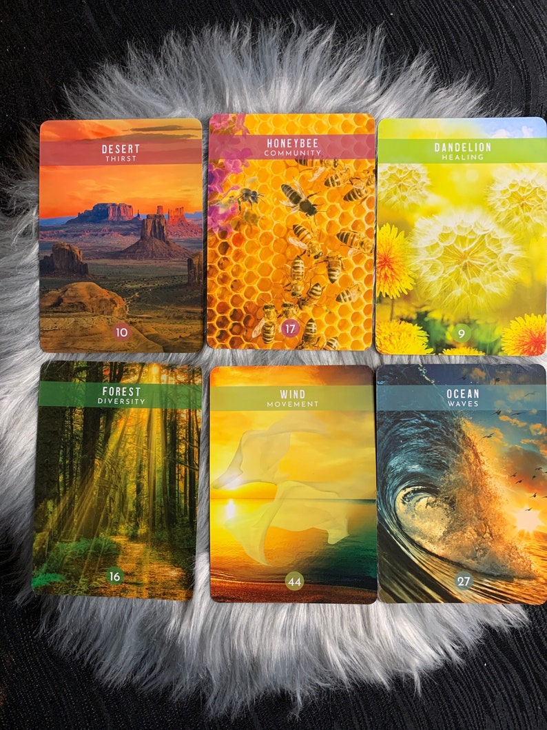 Messages From the Spirits of Nature Oracle Card Deck and Guidebook by ...