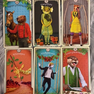 The Tarot of Curious Creatures Tarot Card Deck and Physical Guidebook ...