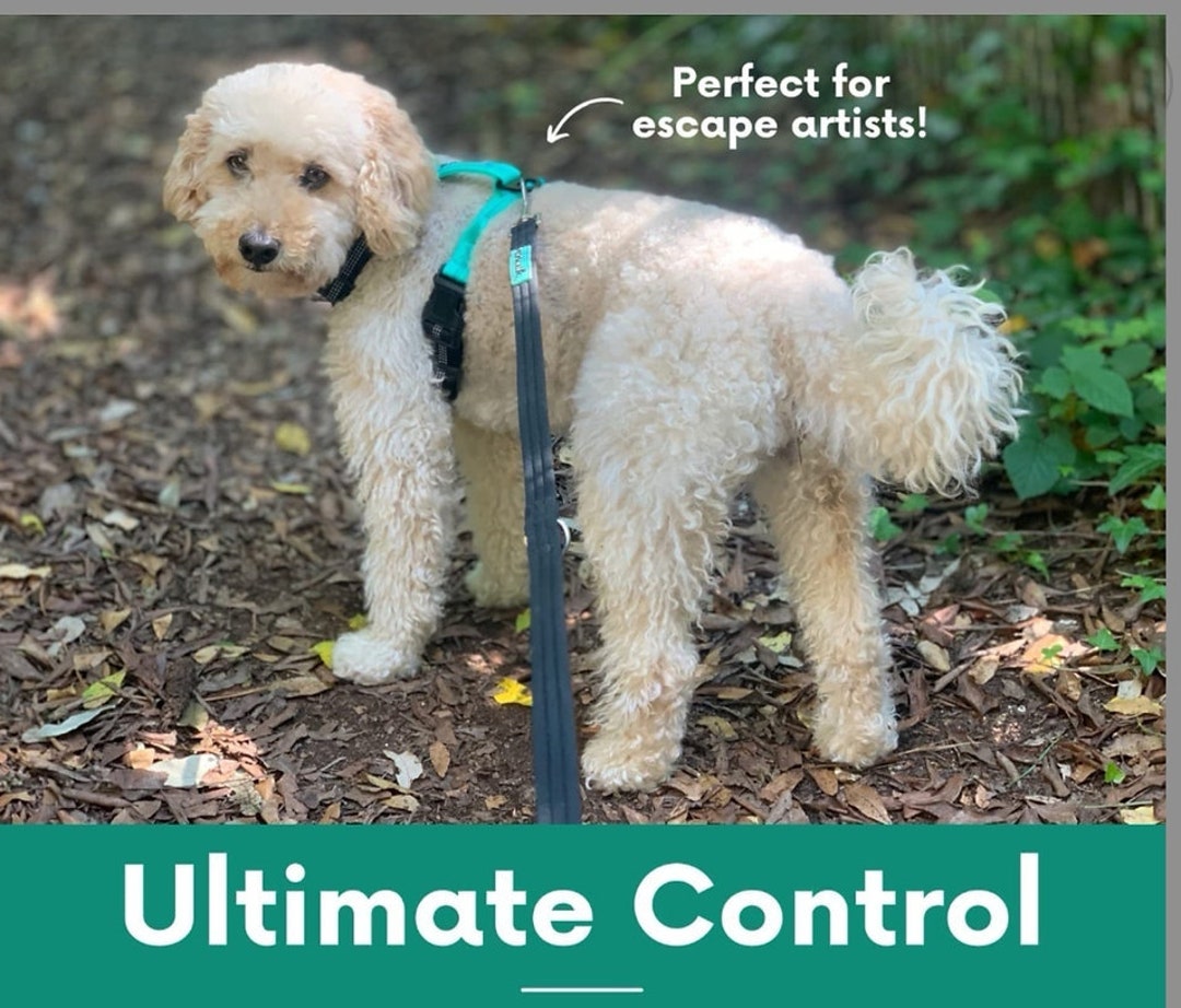 Anti Pull Dog Harness, Stop Pulling Harness, Super Strong Webbing ...