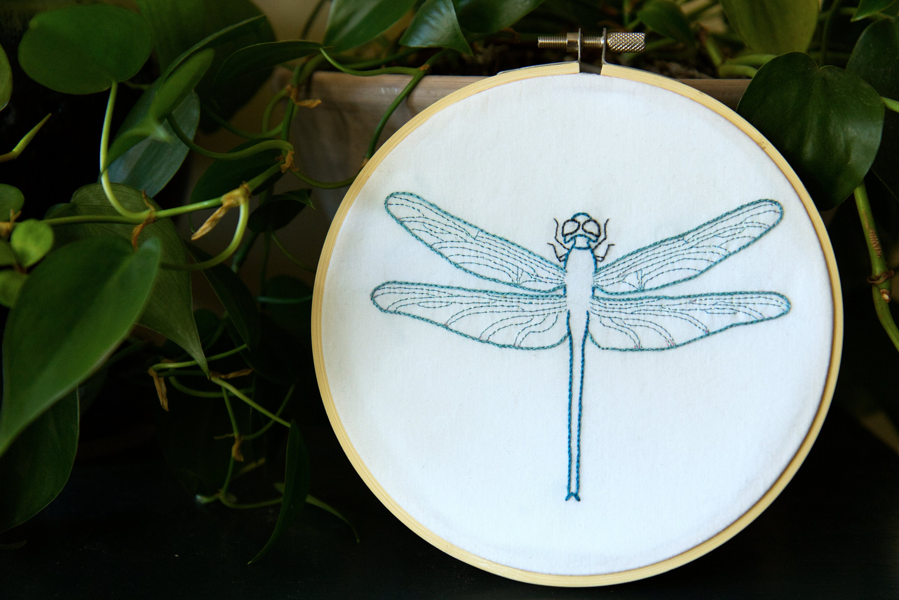 Dragonfly Hand Embroidery Pattern, Digital File, Beginner Embroidery ...