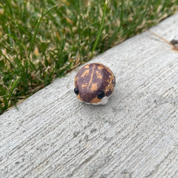 Tiny Frog - Etsy