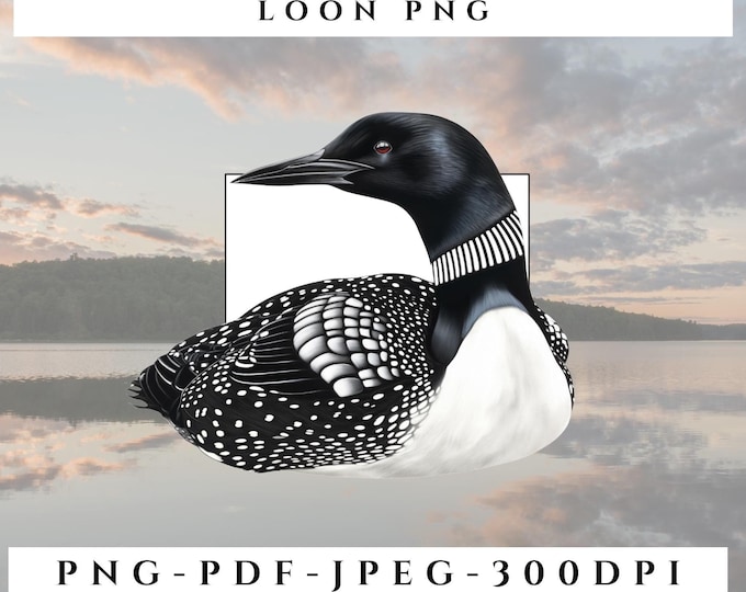 28 Common Loon PNG Clipart Bundle, Watercolor Loon Silhouette Abstract ...