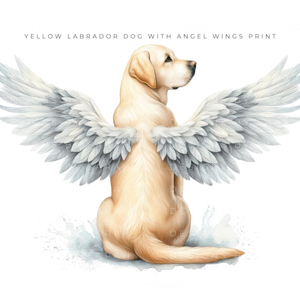 Lab Angel - Etsy
