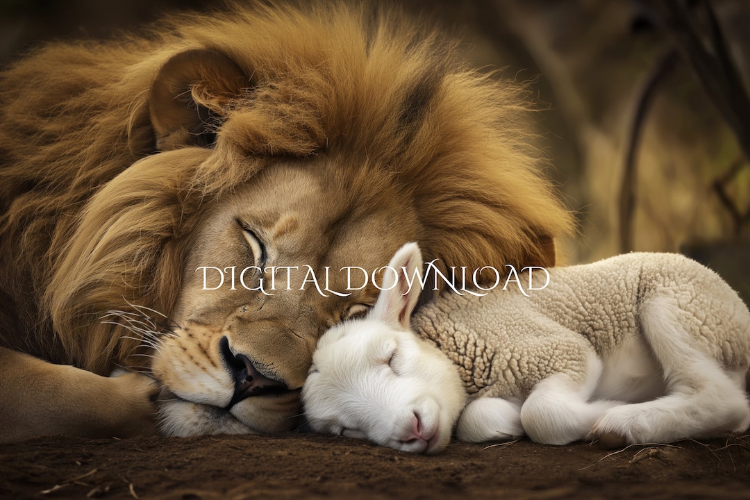 Lion and Lamb Art Print: Serenity Embrace, Peaceful Animals (digital ...