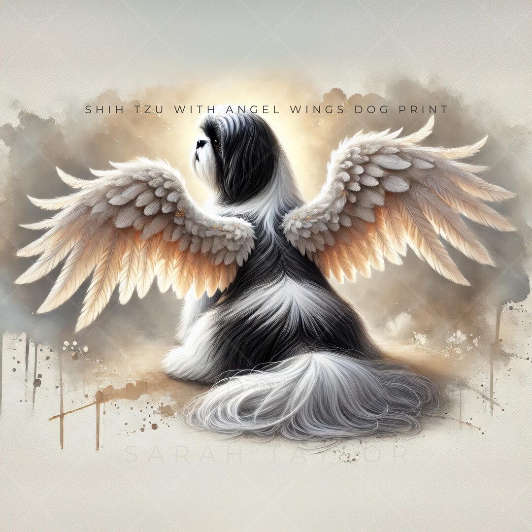 Black and White Shih Tzu Angel Wings Memorial Print for Pet Loss, Dog ...
