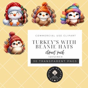 Adorable Turkey Bird Clipart - Thanksgiving Digital PNG Set - Turkeys ...