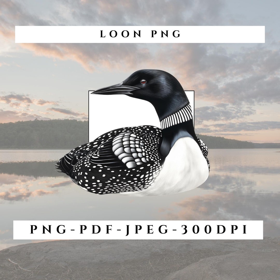 Loon Bird PNG Sublimation Graphic for Digital Download, Nature-themed ...