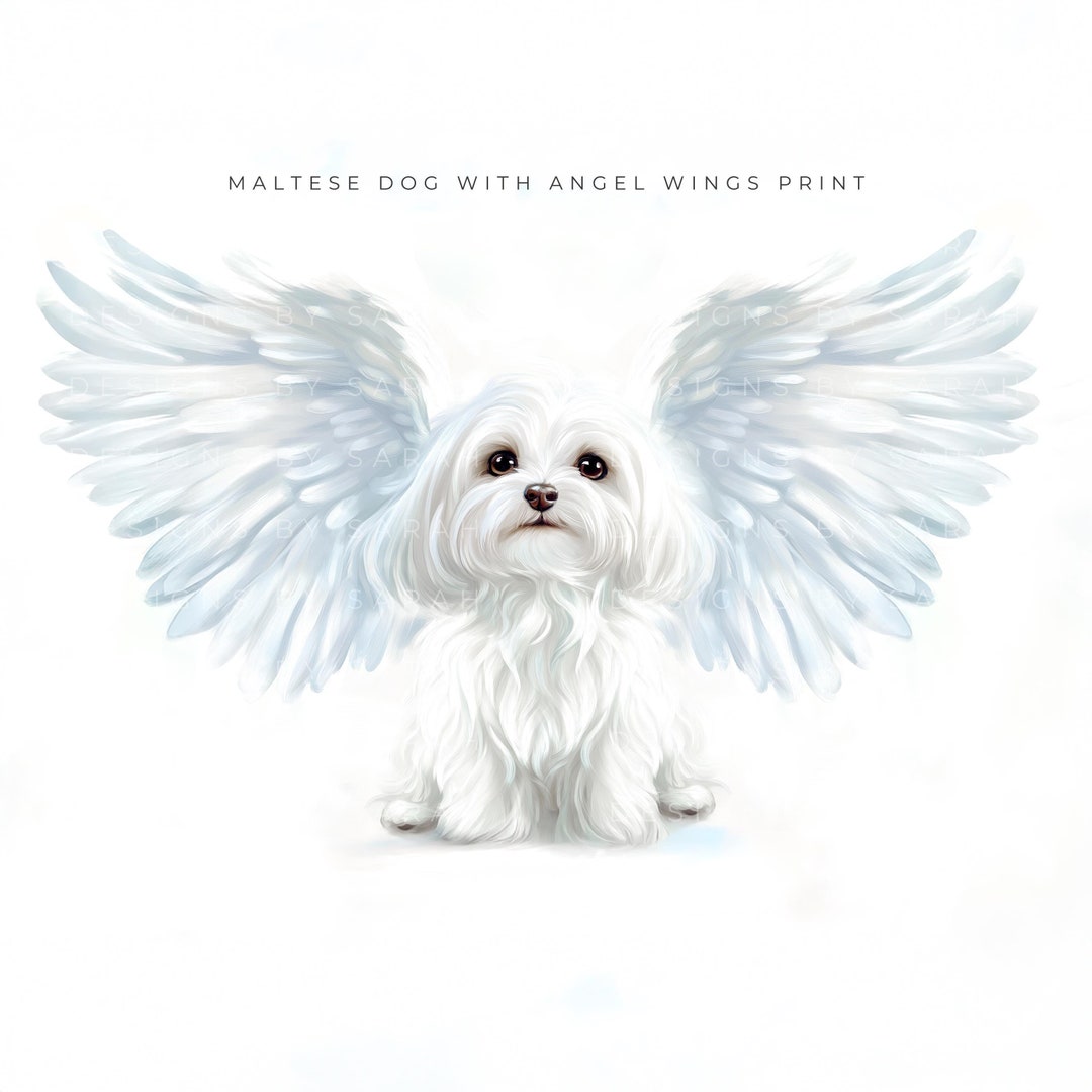 Maltese Dog Angel Wings Printable Wall Art Pet Loss Gift, Sympathy ...