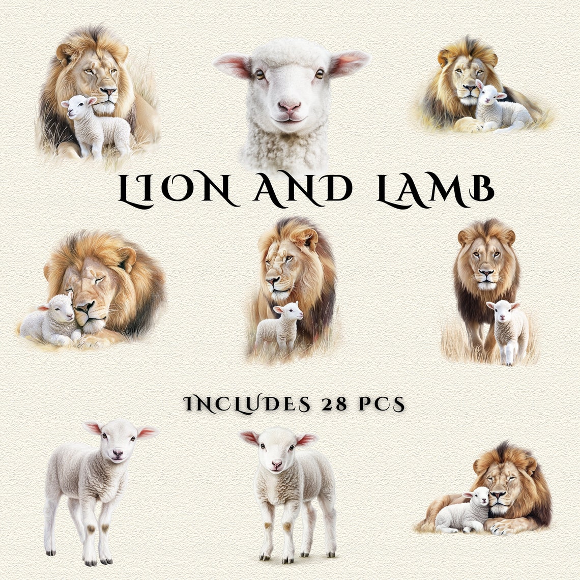 Lion and Lamb Clipart Art, 28 Transparent PNGS - Lion of Judah and Lamb ...