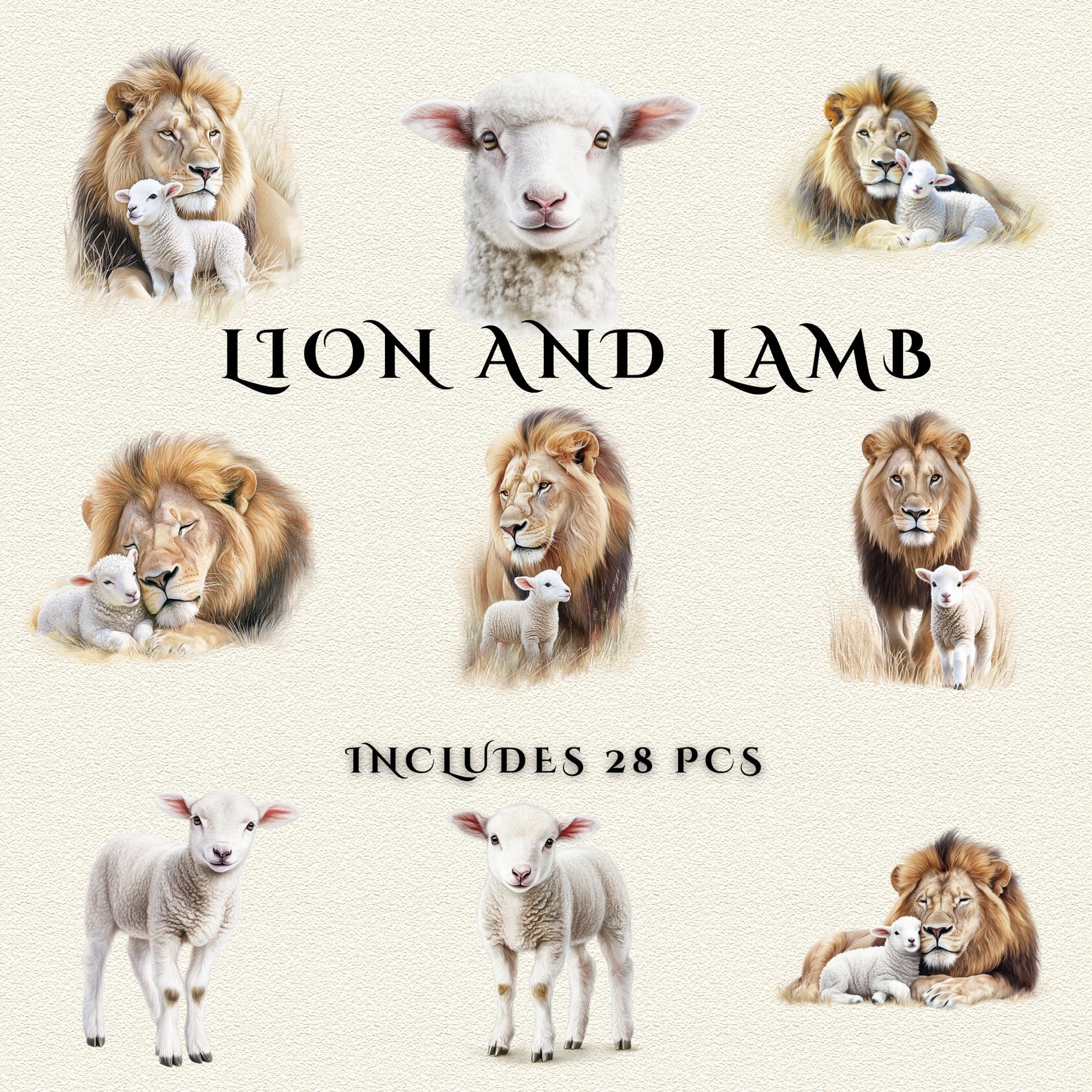 Lion and Lamb Clipart Art: 28 PNG Illustrations (digital Download) - Etsy
