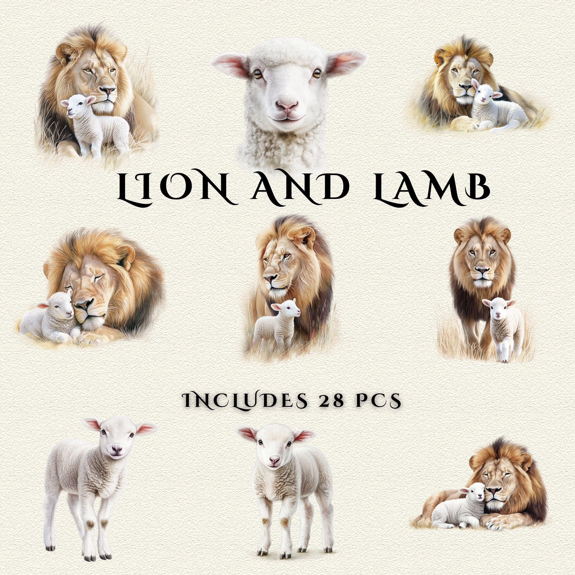 Lion and Lamb Clipart Art, 28 Transparent PNGS - Lion of Judah and Lamb ...