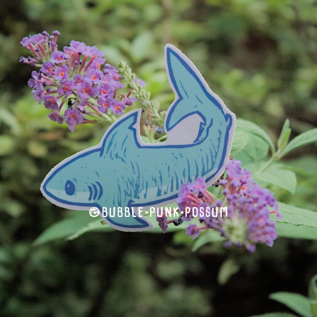 Summertime Shark Sticker - Waterproof Vinyl - PVC Free - Water Bottle ...