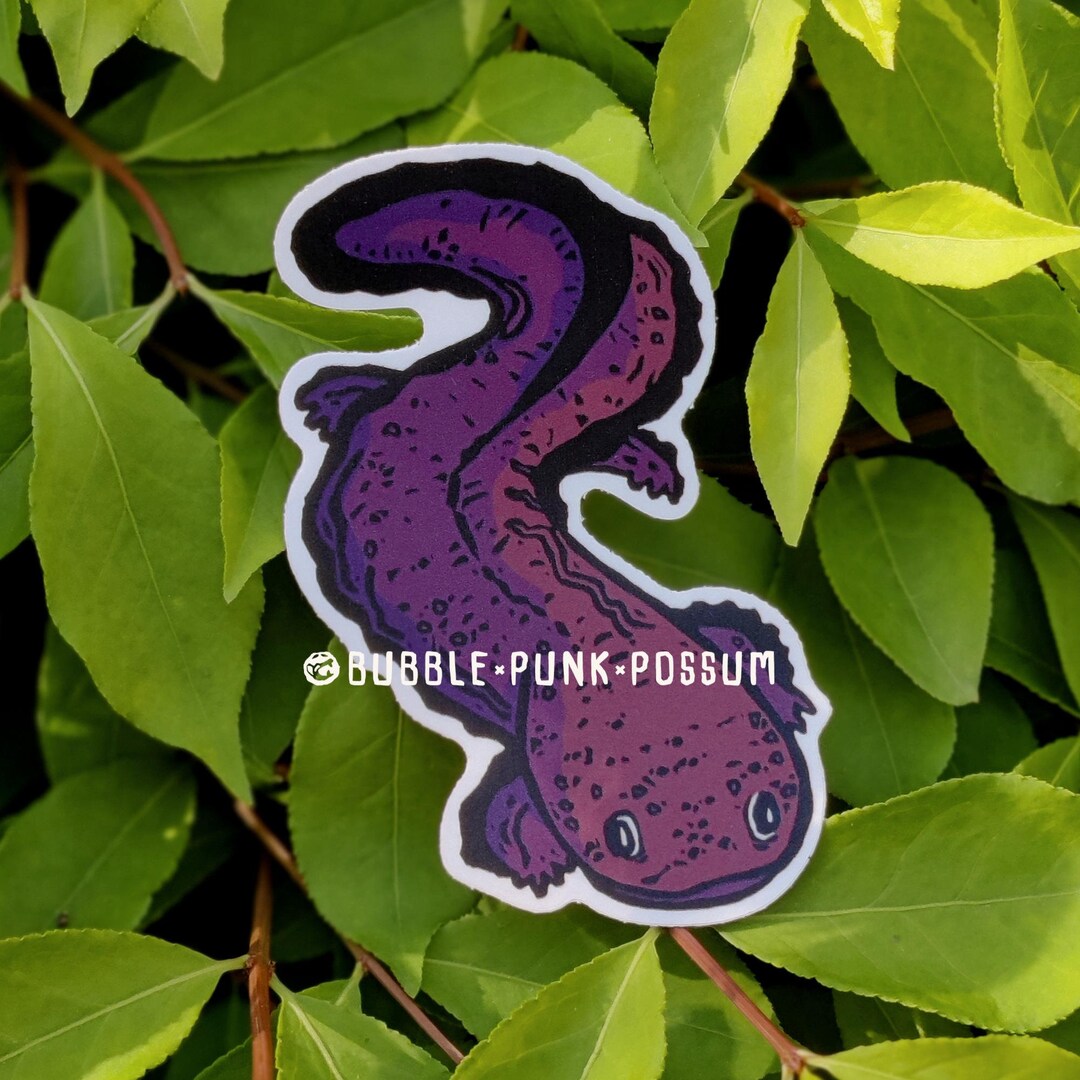 Hellbender Salamander Sticker: Endangered Midwest Species, Waterproof ...