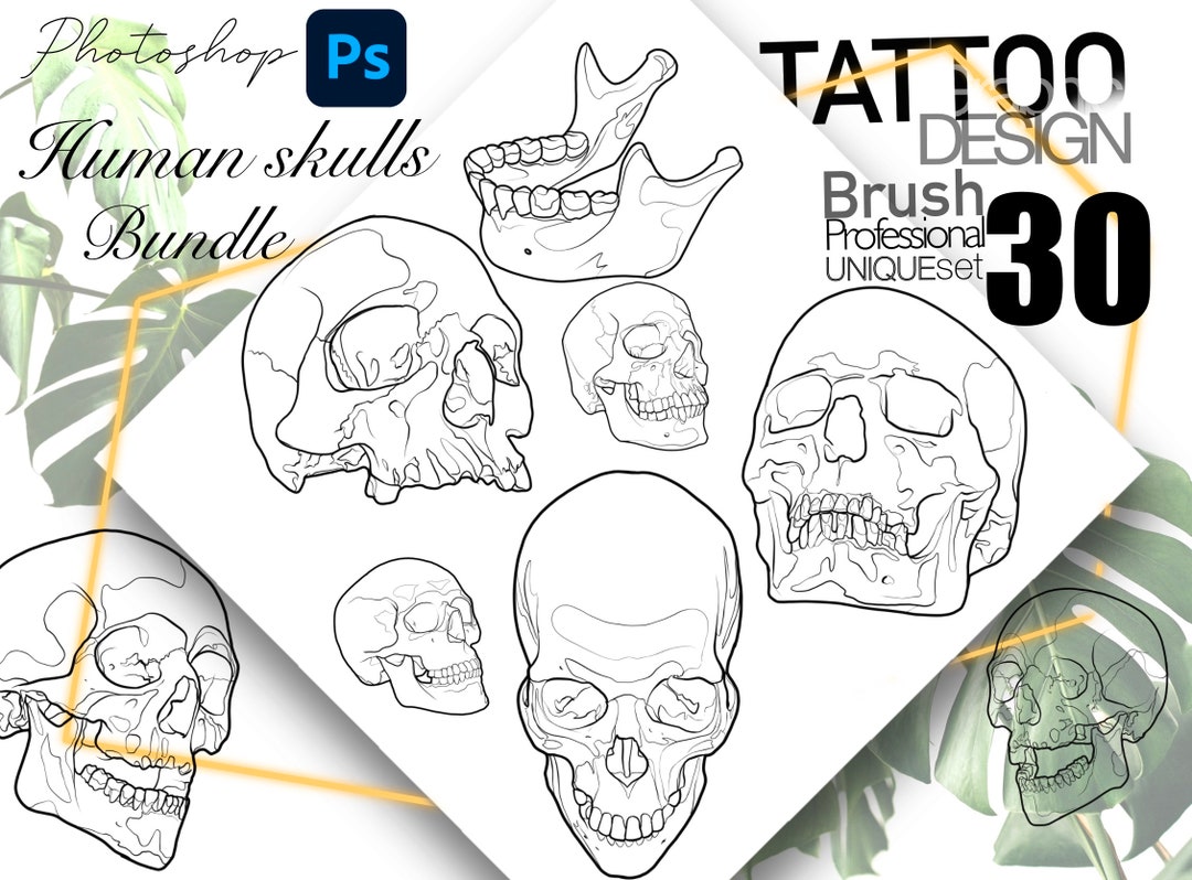 30 Human Skulls Stamps SVG, Png, Procreate GREAT Must Have for ...