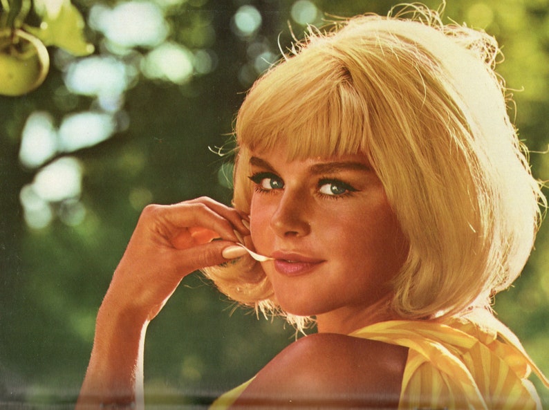 Vintage 1968 June Playboy Britt Fredriksen C-fold John Kenneth - Etsy