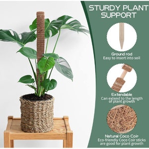 Coco Coir Fiber Pole for Climbing Plants / Aroids - Etsy