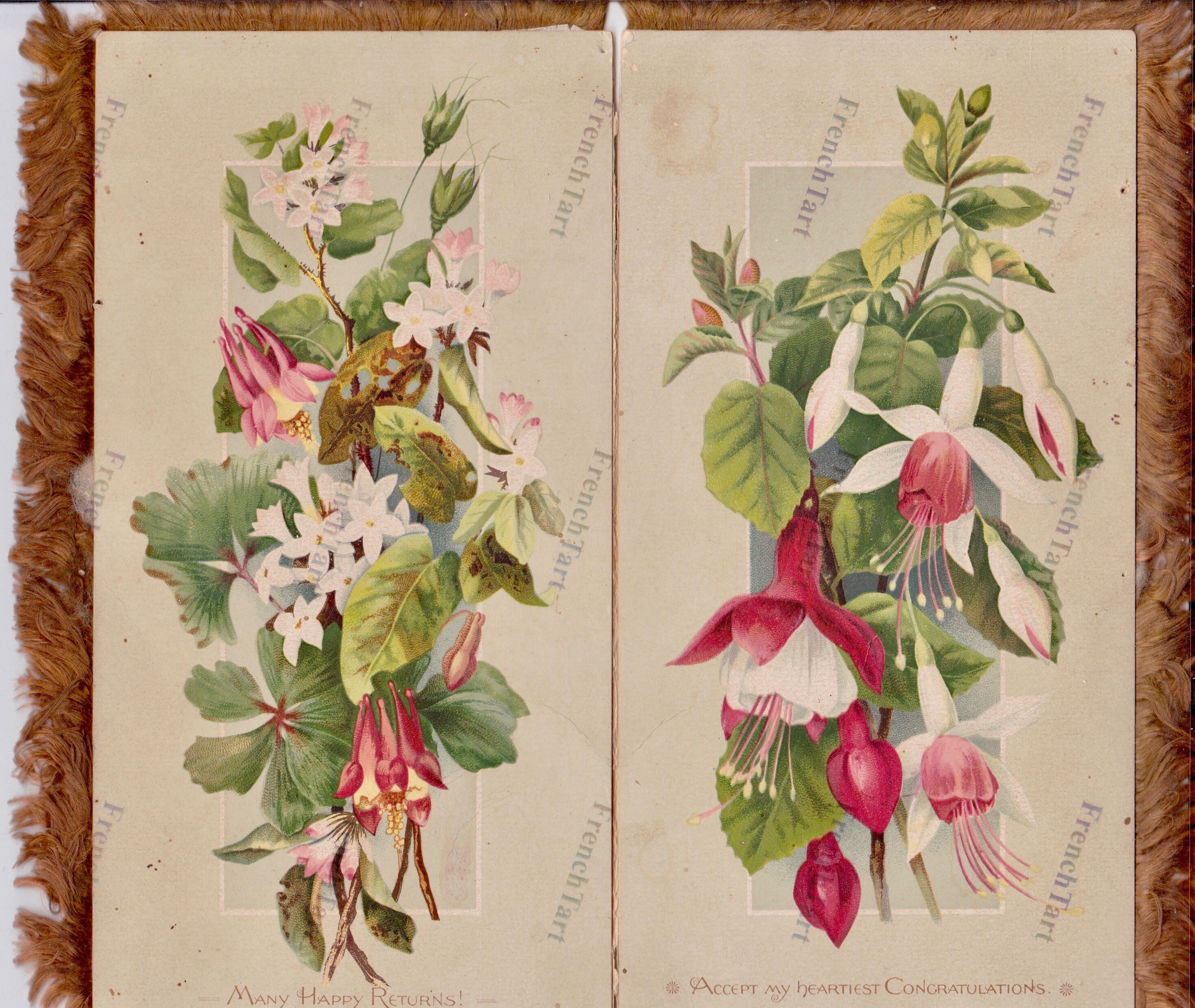 1880s Victorian Silk Fringe Greeting Card Chromolithograph Fuschia ...