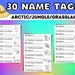 Animal Theme Name Tags, Printable Name Labels, Safari Friends Name Tags ...