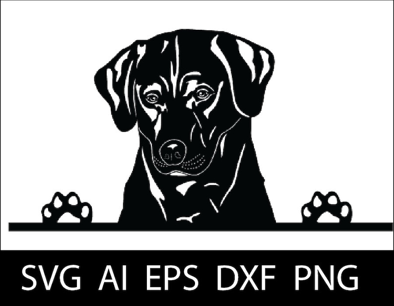Labrador Svg, Labrador Svg Bundle. Black Labrador Svg - Etsy