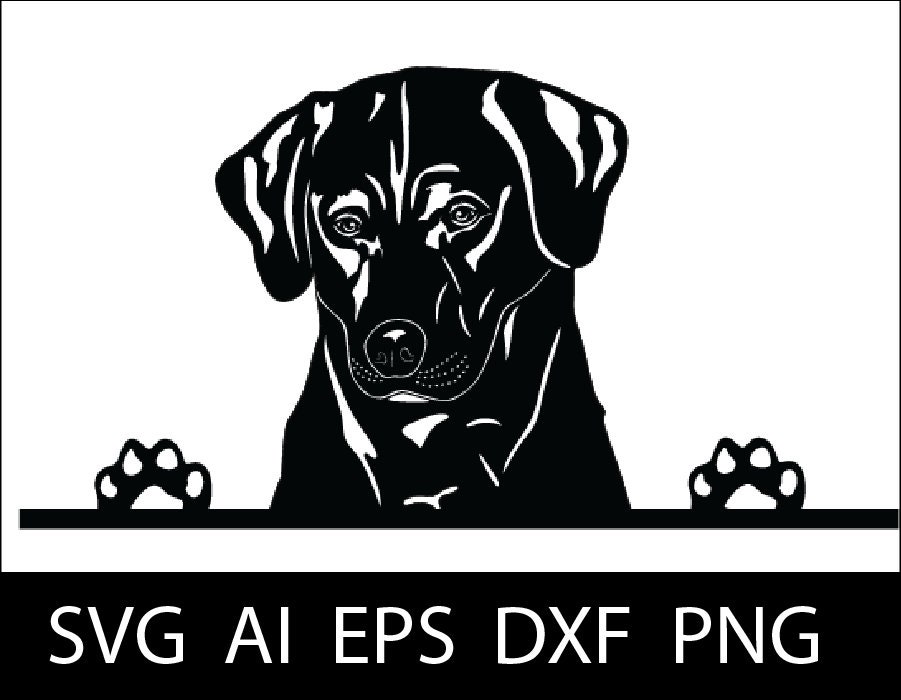 Labrador Svg, Labrador Svg Bundle. Black Labrador Svg - Etsy