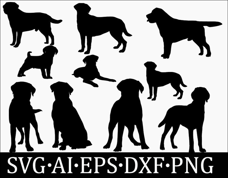 Labrador Svg, Labrador Svg Bundle. Labrador Silhouette. - Etsy