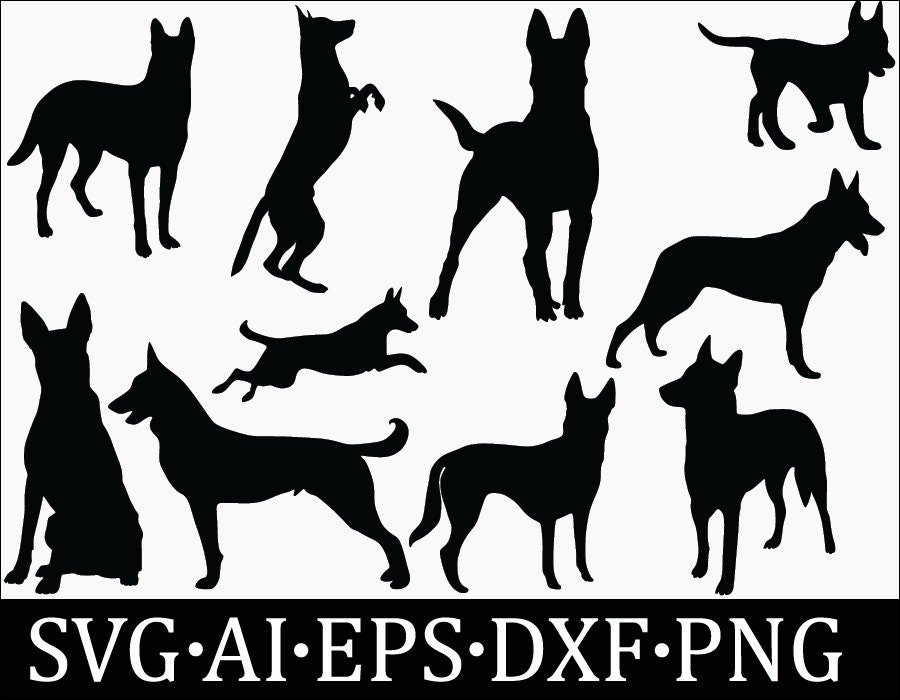Belgian Malinois Svg, Belgian Malinois Svg Bundle. Belgian Malinois ...