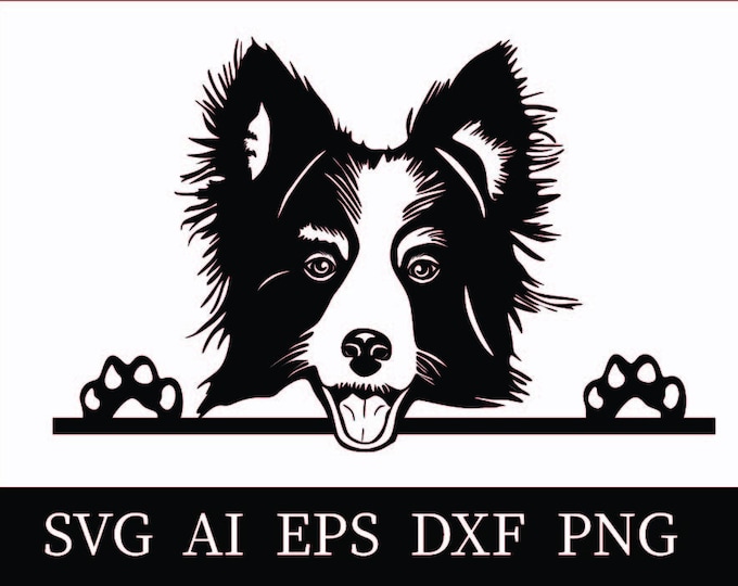 Border Collie SVG Bundle - Etsy Canada