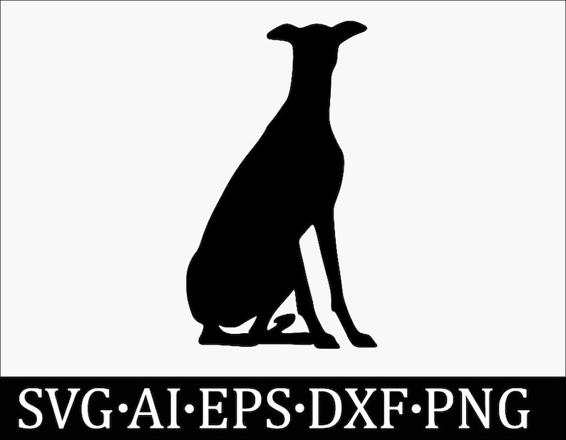 Greyhound Svg, Greyhound Svg Bundle. Greyhound Silhouette. Greyhound ...