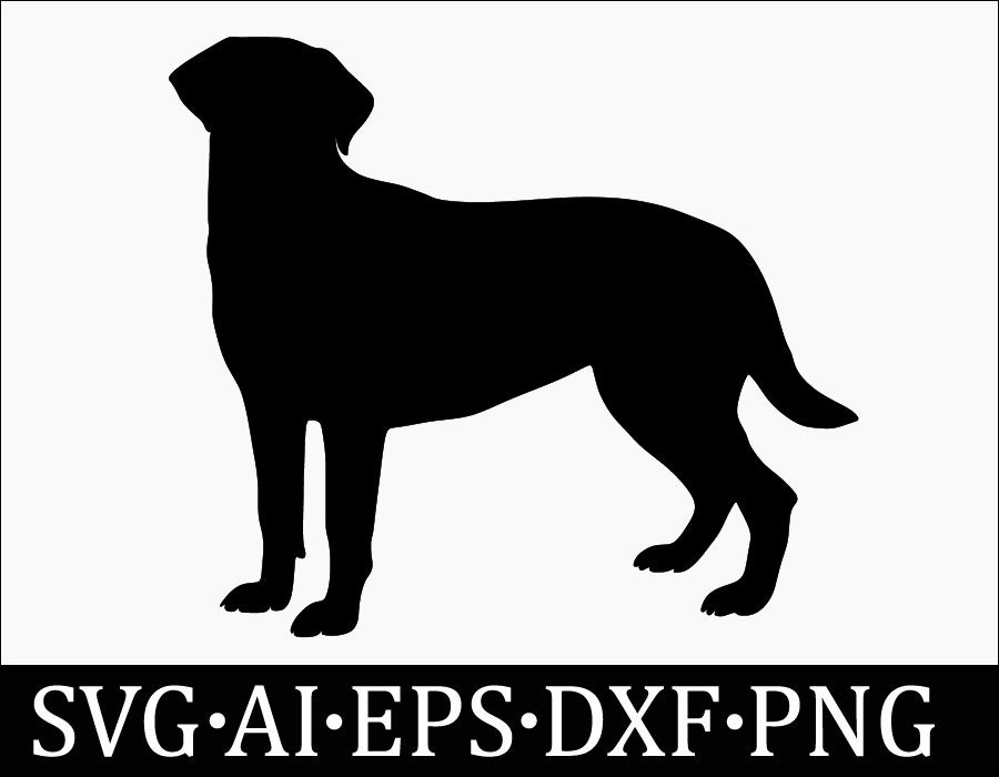 Labrador Svg Labrador Svg Bundle. Labrador Silhouette. - Etsy