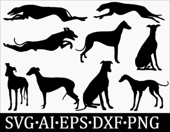 Greyhound Svg Greyhound Svg Bundle. Greyhound Silhouette. | Etsy