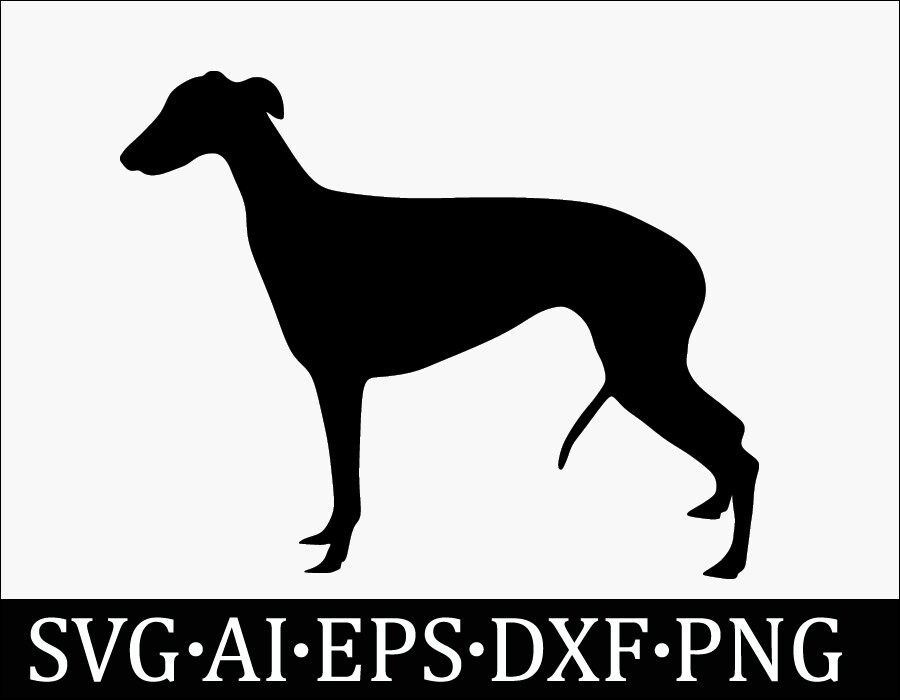 Greyhound Svg, Greyhound Svg Bundle. Greyhound Silhouette. Greyhound ...