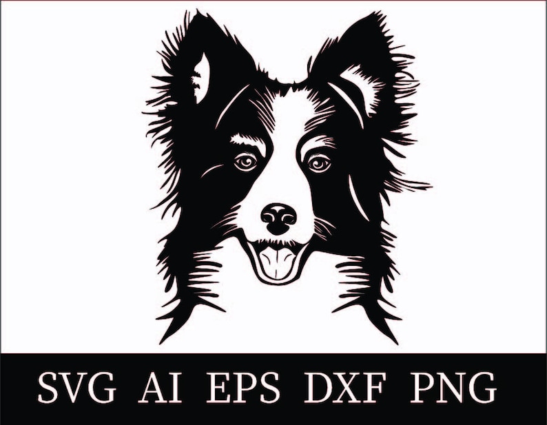Border Collie Svg, Border Collie Cut File - Etsy