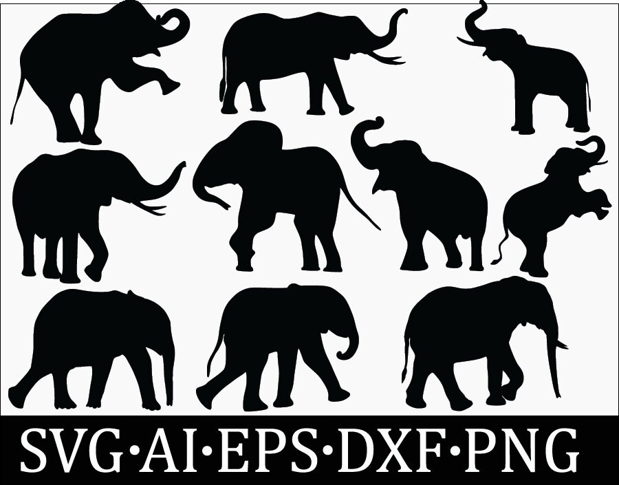 Elephant Svg, Elephant Svg Bundle. Elephant Silhouette. Cut File for ...