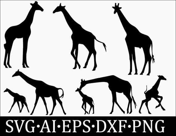 Giraffe svg Giraffe svg bundle. Silueta de jirafa. | Etsy México