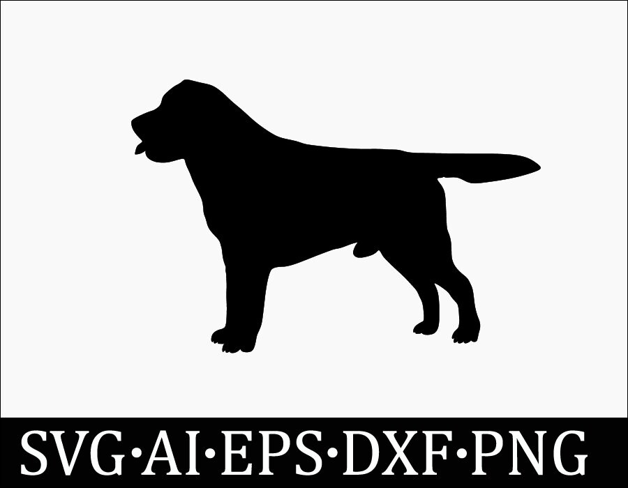 Labrador Svg, Labrador Svg Bundle. Labrador Silhouette. - Etsy