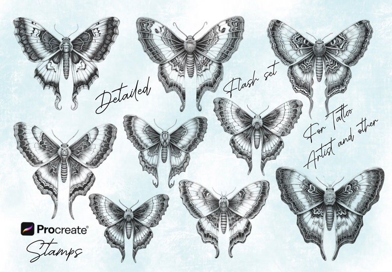 Stamps Tattoo Moths and Eyes, Procreate Line Pen Drawing Brush Detailed ...