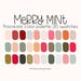 Merry Mint Procreate Color Palette, Christmas Color Palette, Retro ...