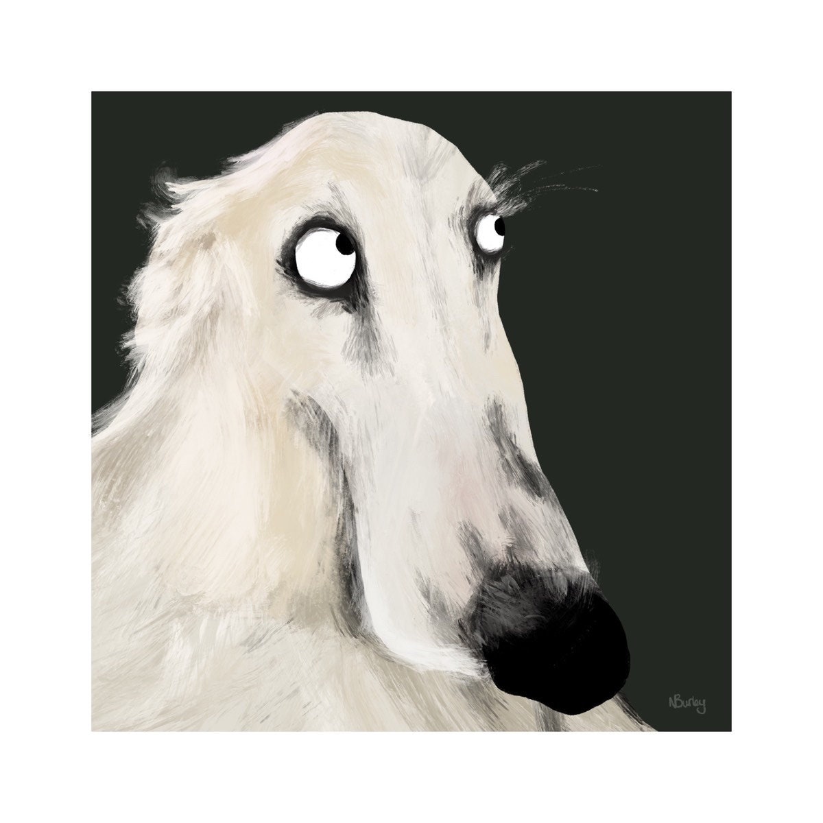 Borzoi Puppies