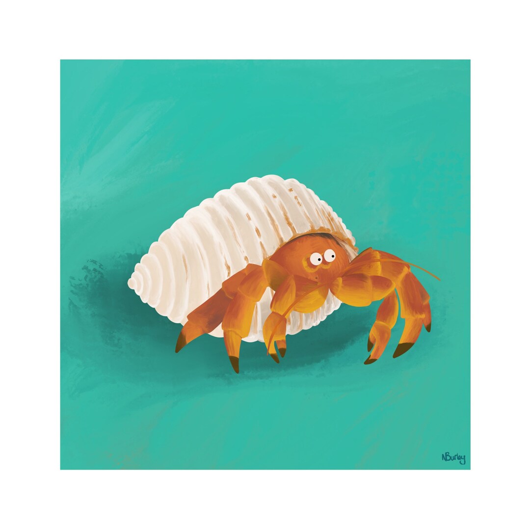 Leopold the Hermit Crab - Etsy