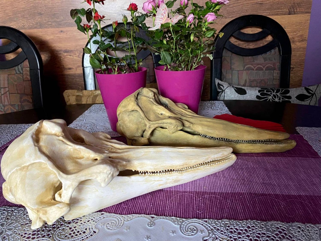 Dolphin Scull Replica FANMADE Figure 3D Printed Figures Gift for ...