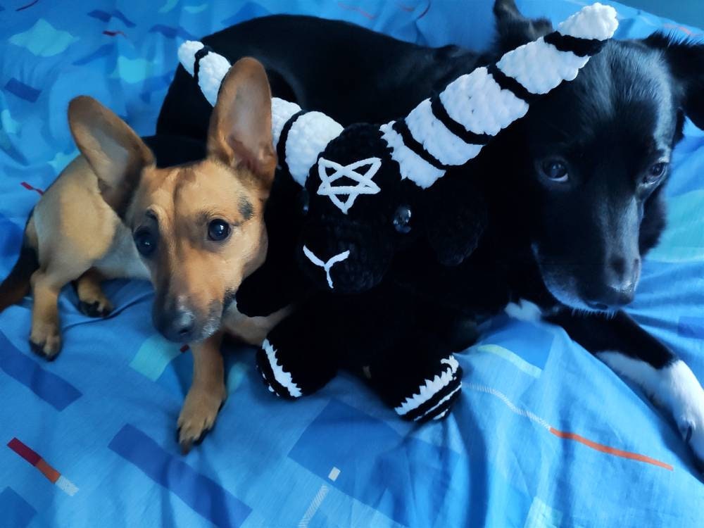 Houndoom Dog Cosplay