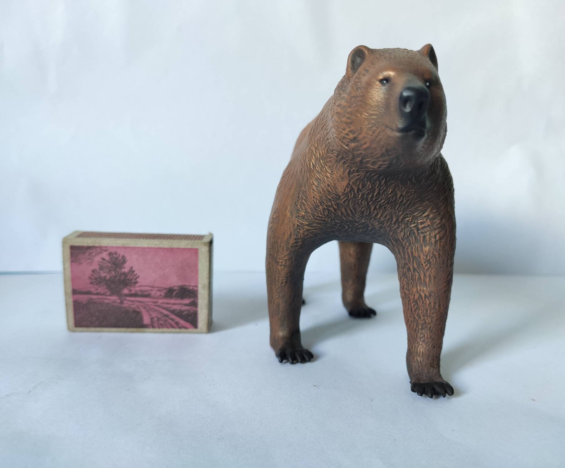 Arctodus Simus Yukonensis