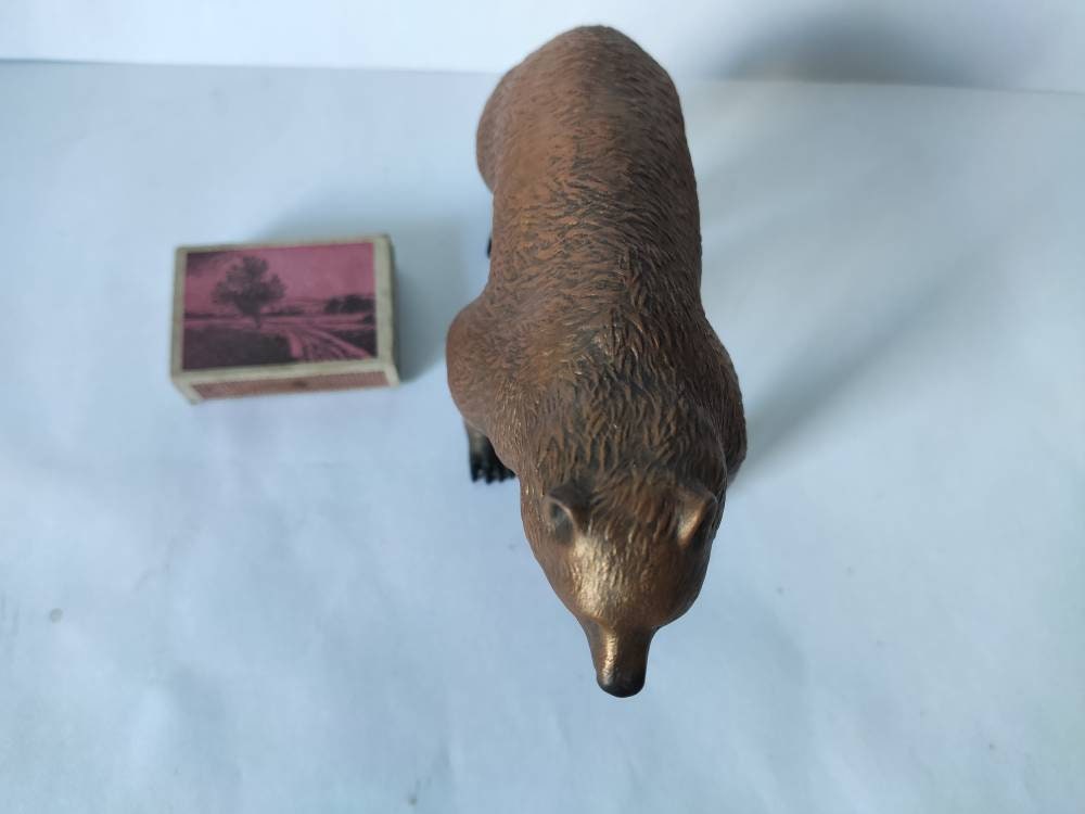 Arctodus Simus Yukonensis