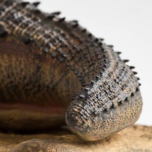 African Graboid Tremors Fanart Creature 3D Printed Figure Classic 90's ...