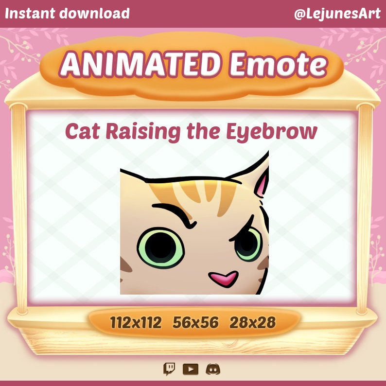 Cat Meme Emote: Raising Eyebrow for Twitch, Discord, Youtube (digital ...